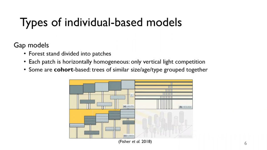 Investigating forest dynamics through individual-based modeling (E-Ping ...
